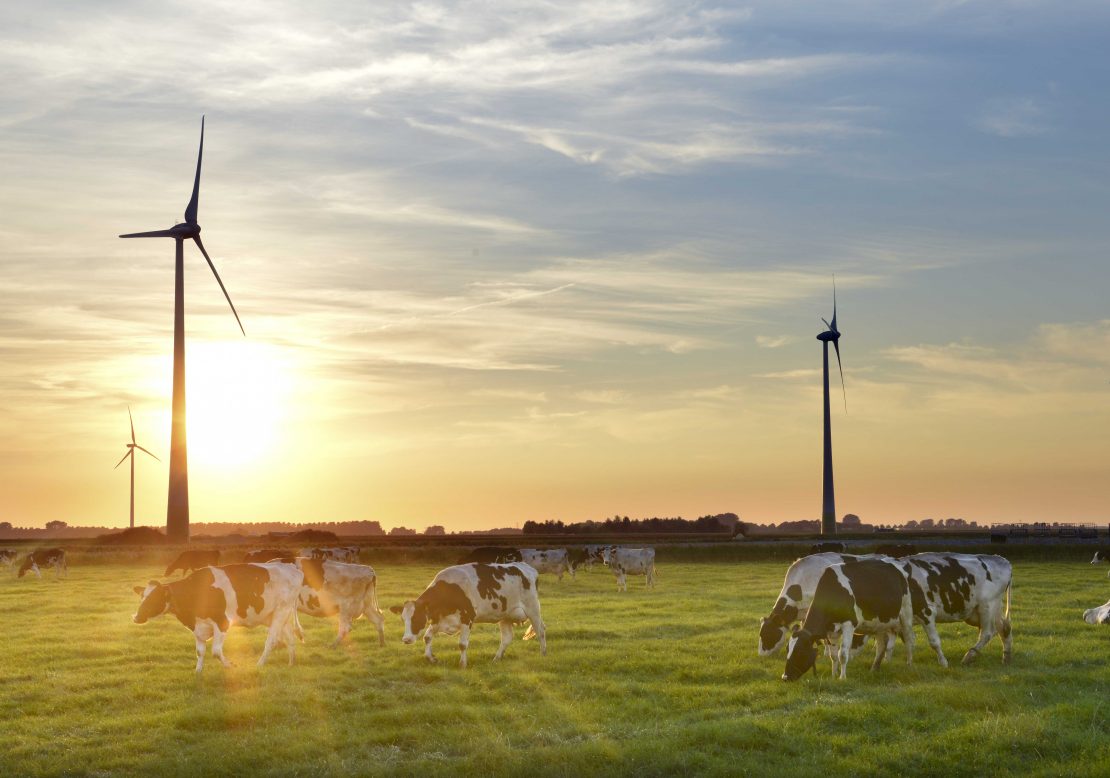 Homepage | FrieslandCampina EN