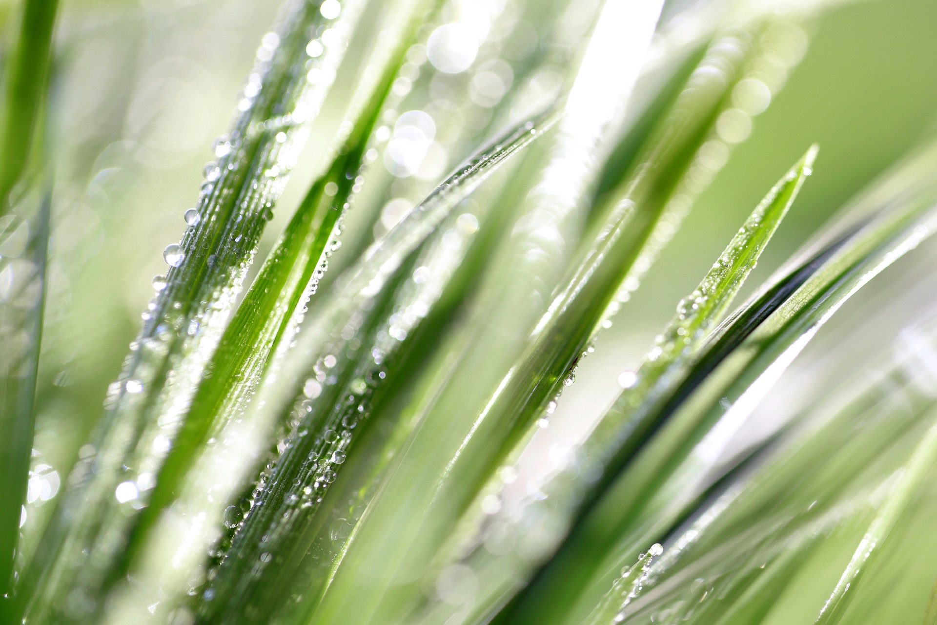 Calculating Carbon Sequestration