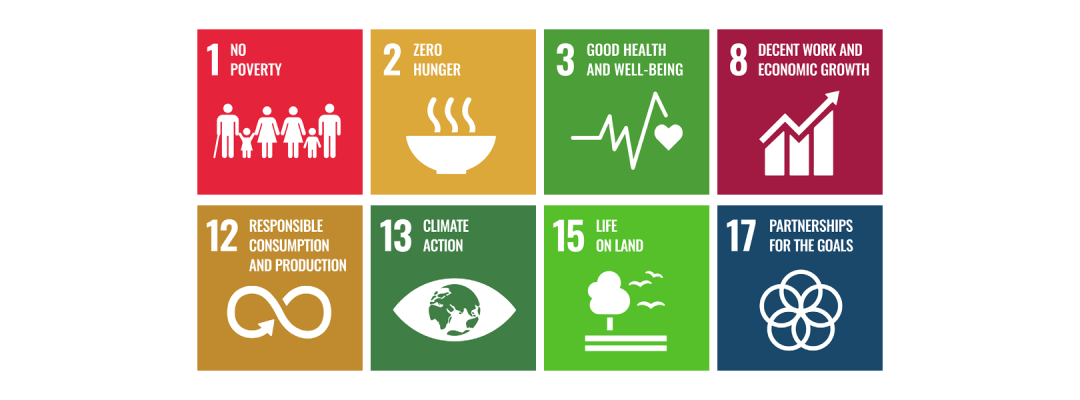 Sustainable Development Goals