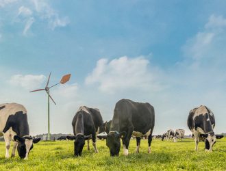 FrieslandCampina provides year-1 update on the execution of its climate ...