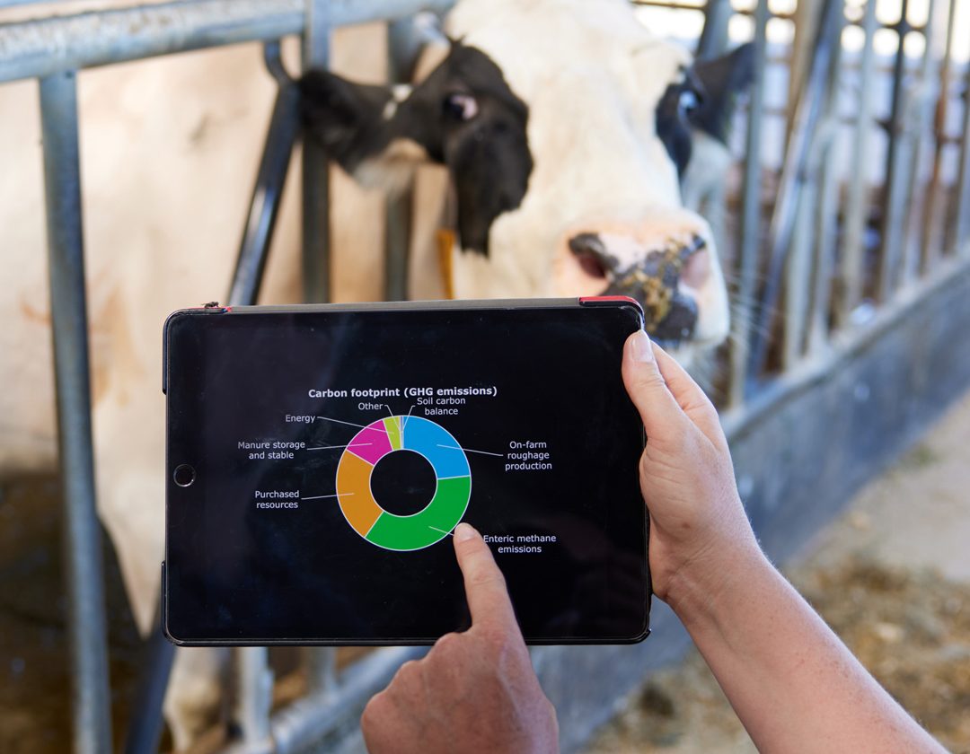Minimising the climate impact of dairy production throughout the chain