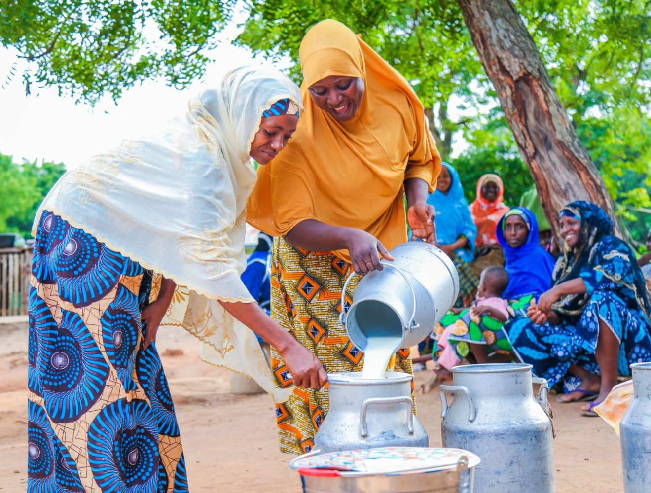 Value4Dairy Consortium led by FrieslandCampina receives grant to boost ...