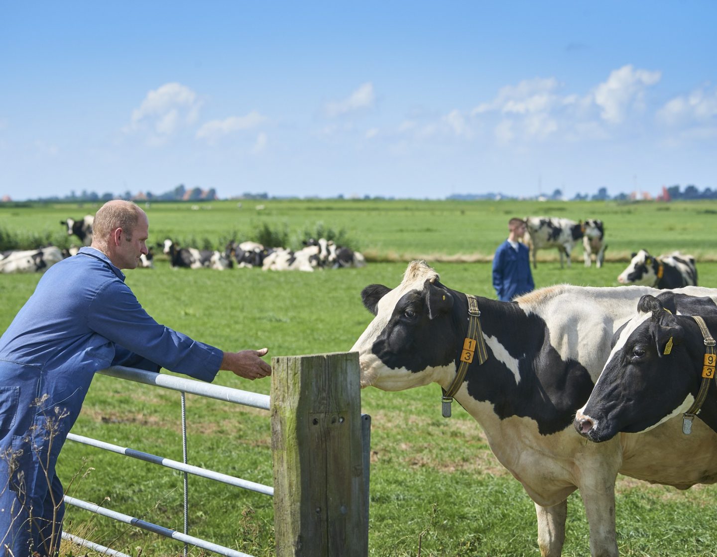 Eigendom van boeren