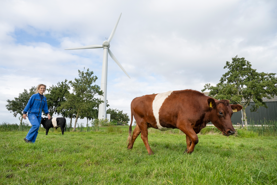 Het verhaal van Janneke